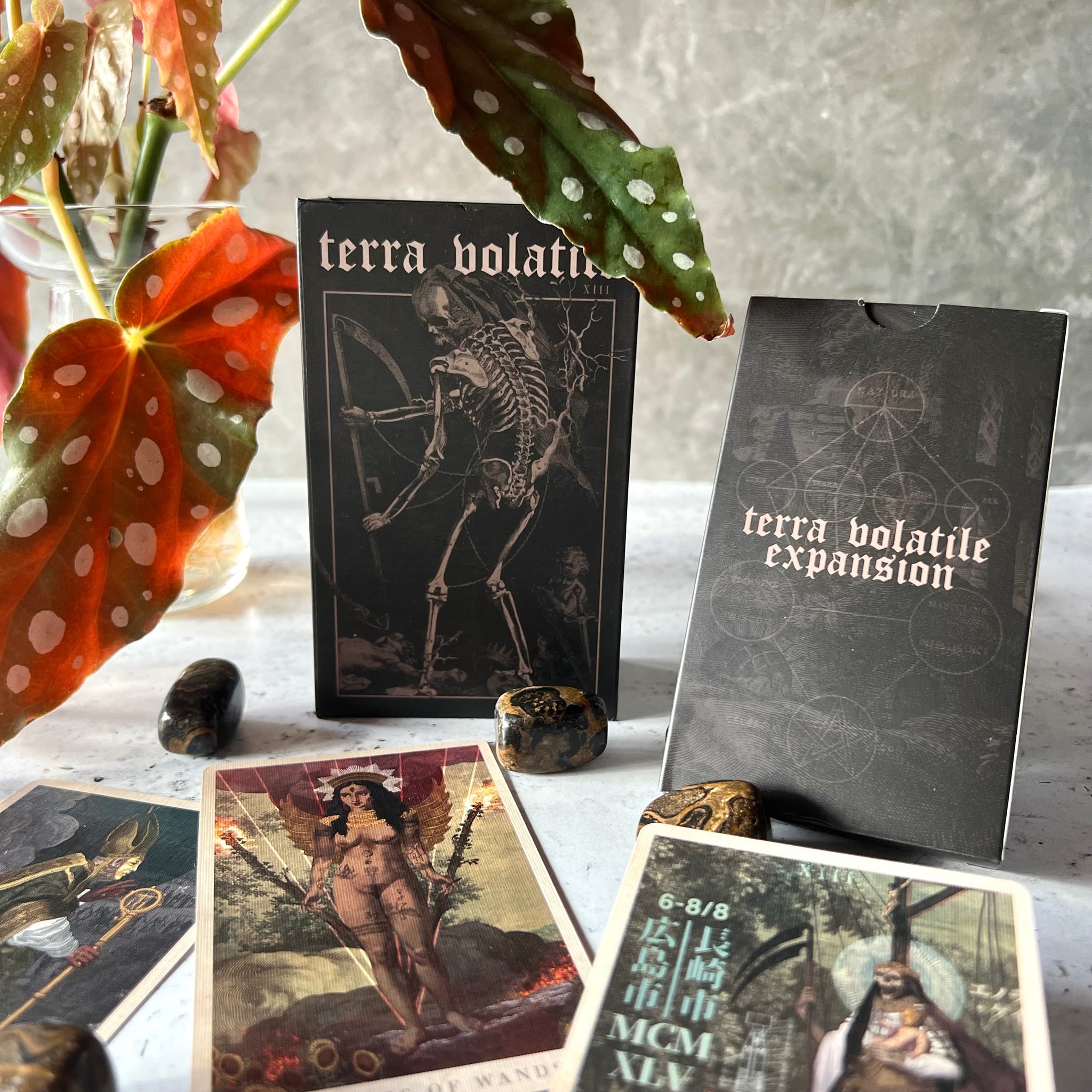 Terra Volatile Tarot Deck & Expansion Set | MYSTIKO HOUSE