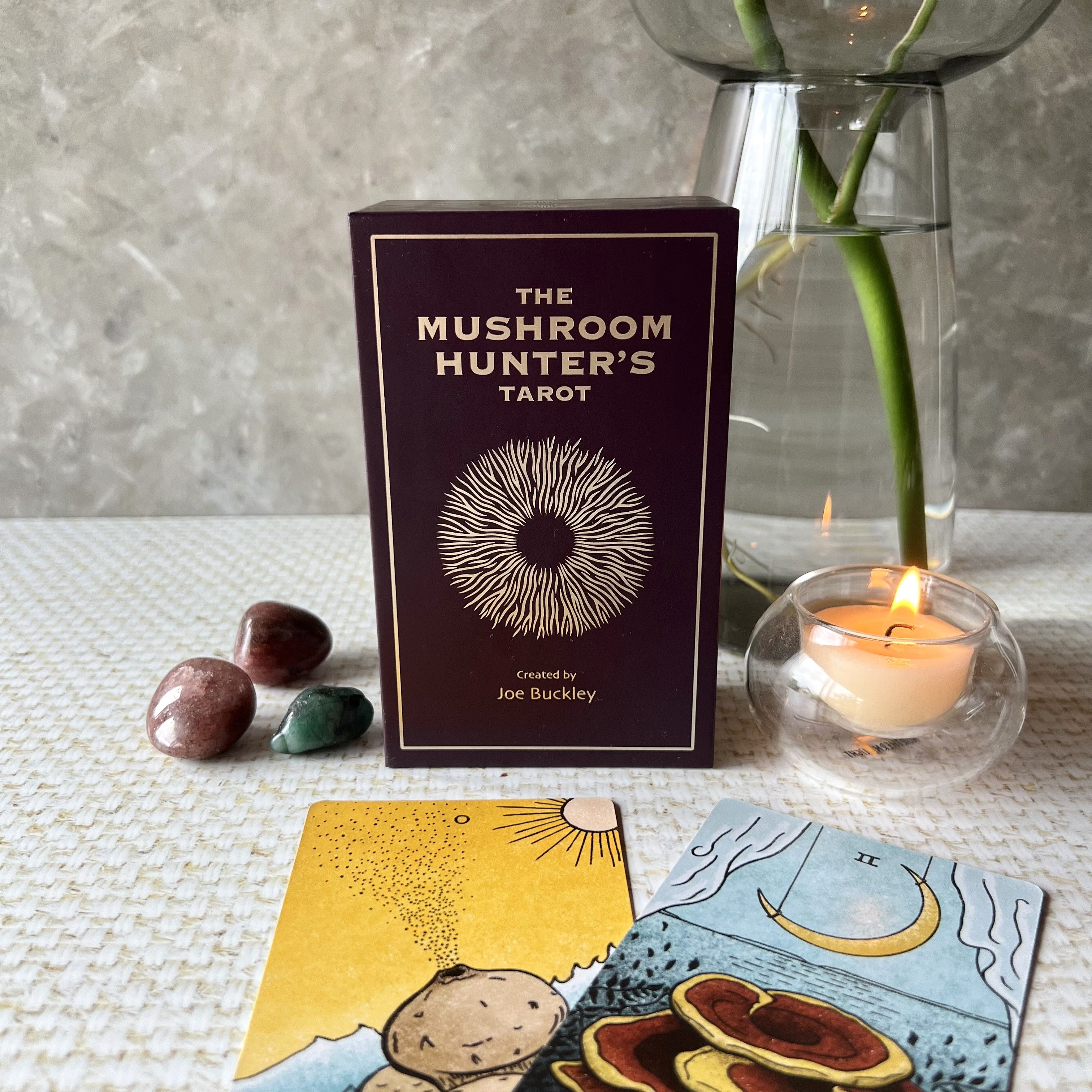The Mushroom Hunter's Tarot | MYSTIKO HOUSE